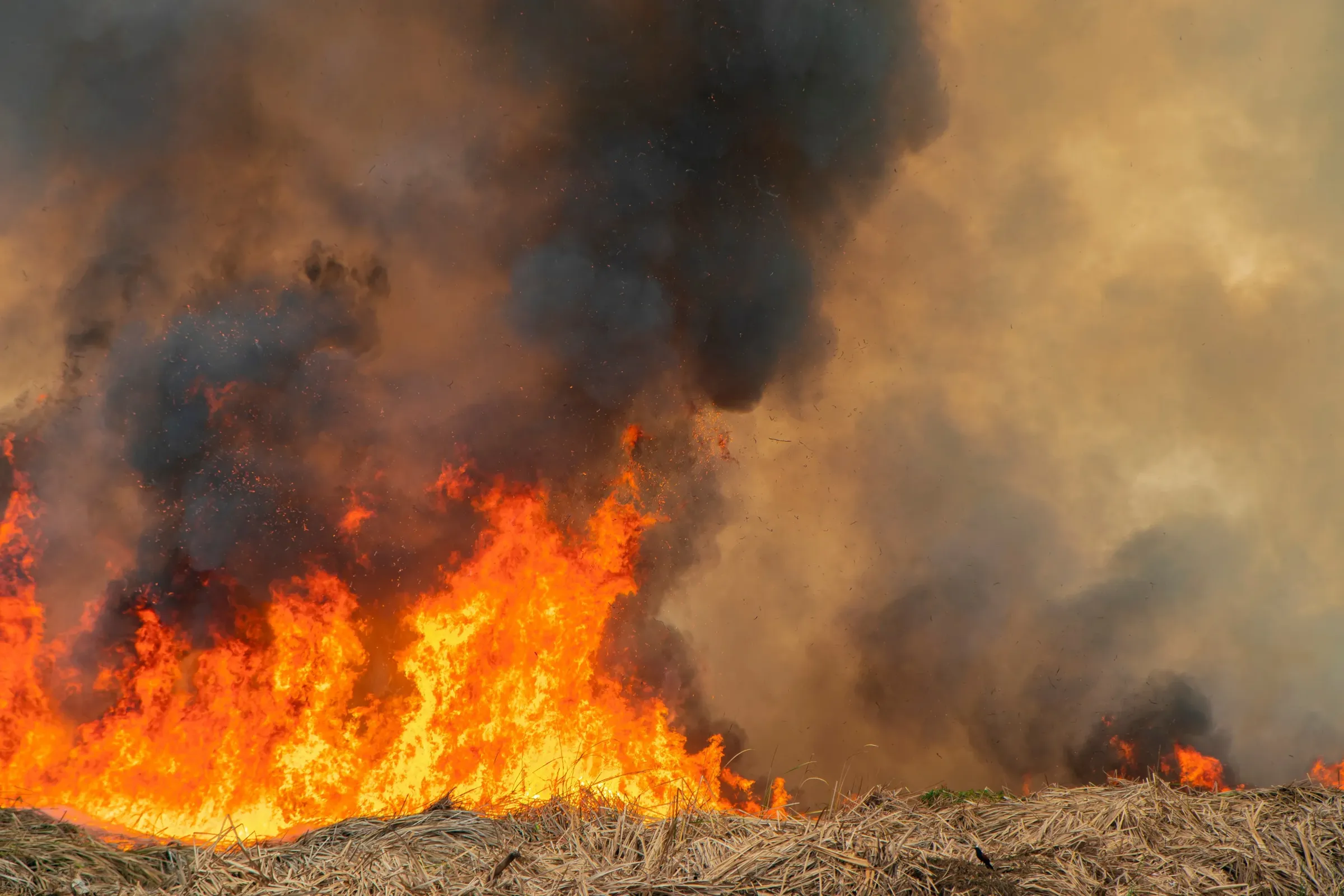 Eaton & Hurst CA Fire Lawyer | Wildfire Claims
